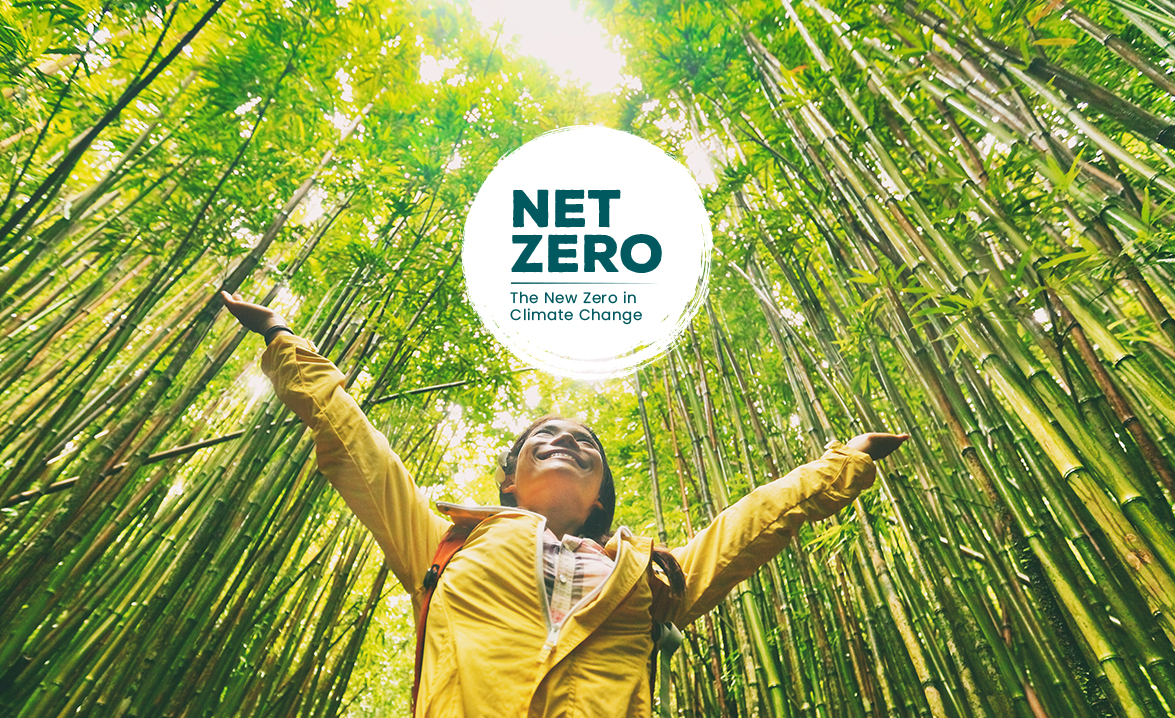 Net Zero - The New Zero in Climate Change | Sustainability Compendium